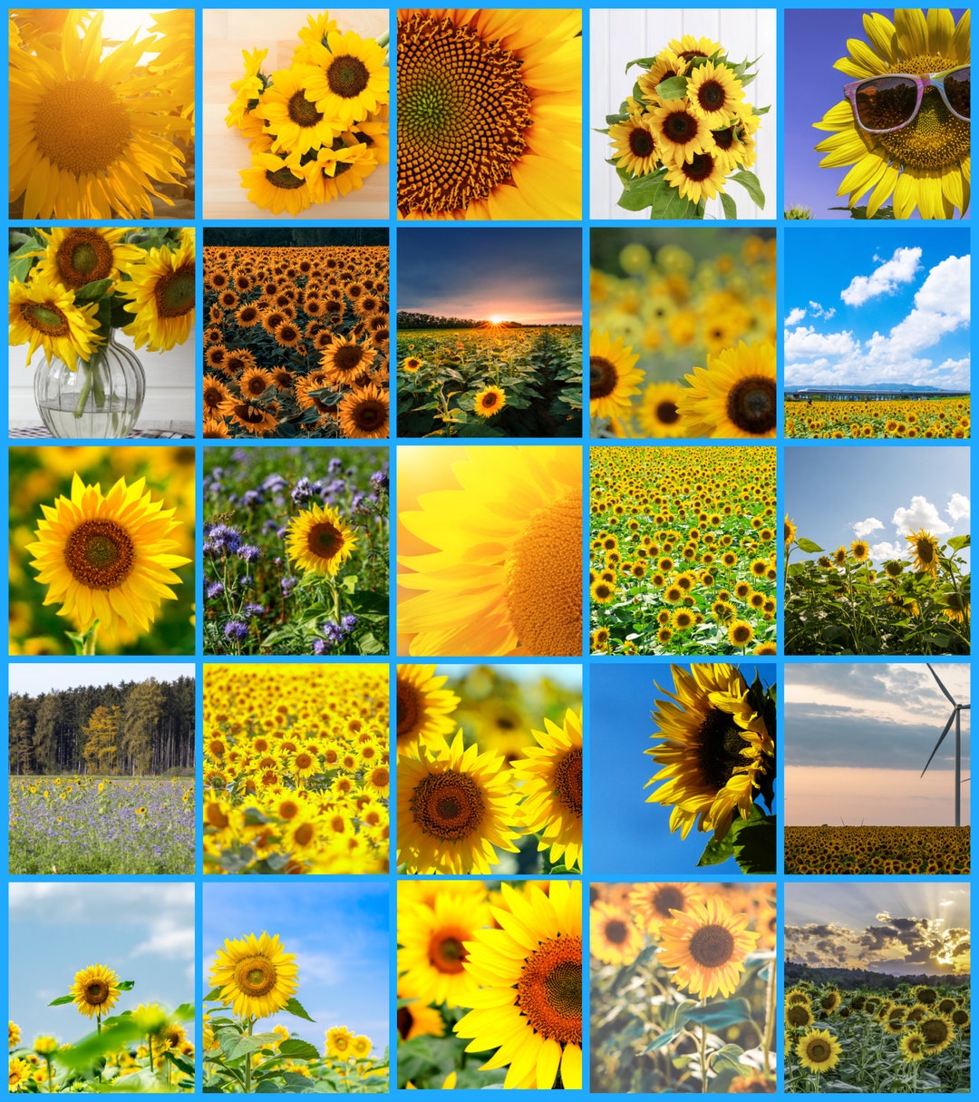 SUNFLOWERS #1 Digital Photos Wall Collage Kit | 120 Pictures Digital ...