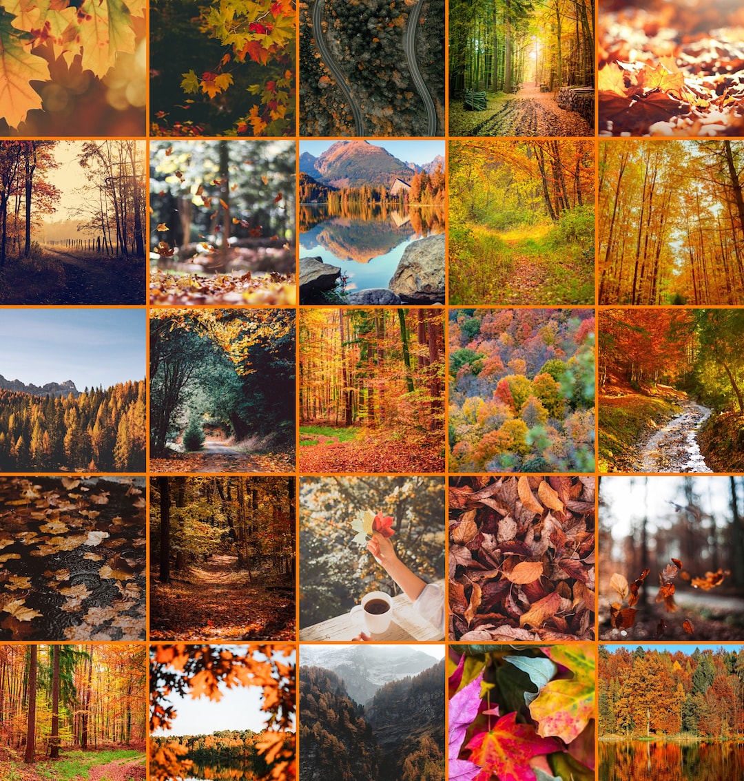 Autumn Trees Wall Collage Kit | 110 Pictures Digital Download - Etsy