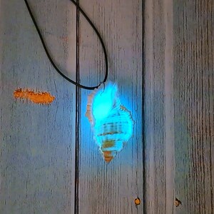 Magic Mermaid Necklace - Glow in the Dark Luminous Glowing Seashell ...