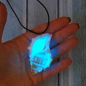 Magic Mermaid Necklace - Glow in the Dark Luminous Glowing Seashell ...