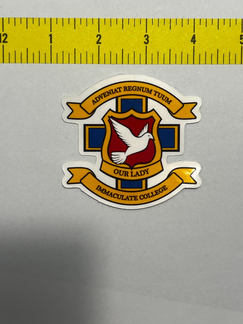 Derry Girls Sticker Pack - Etsy