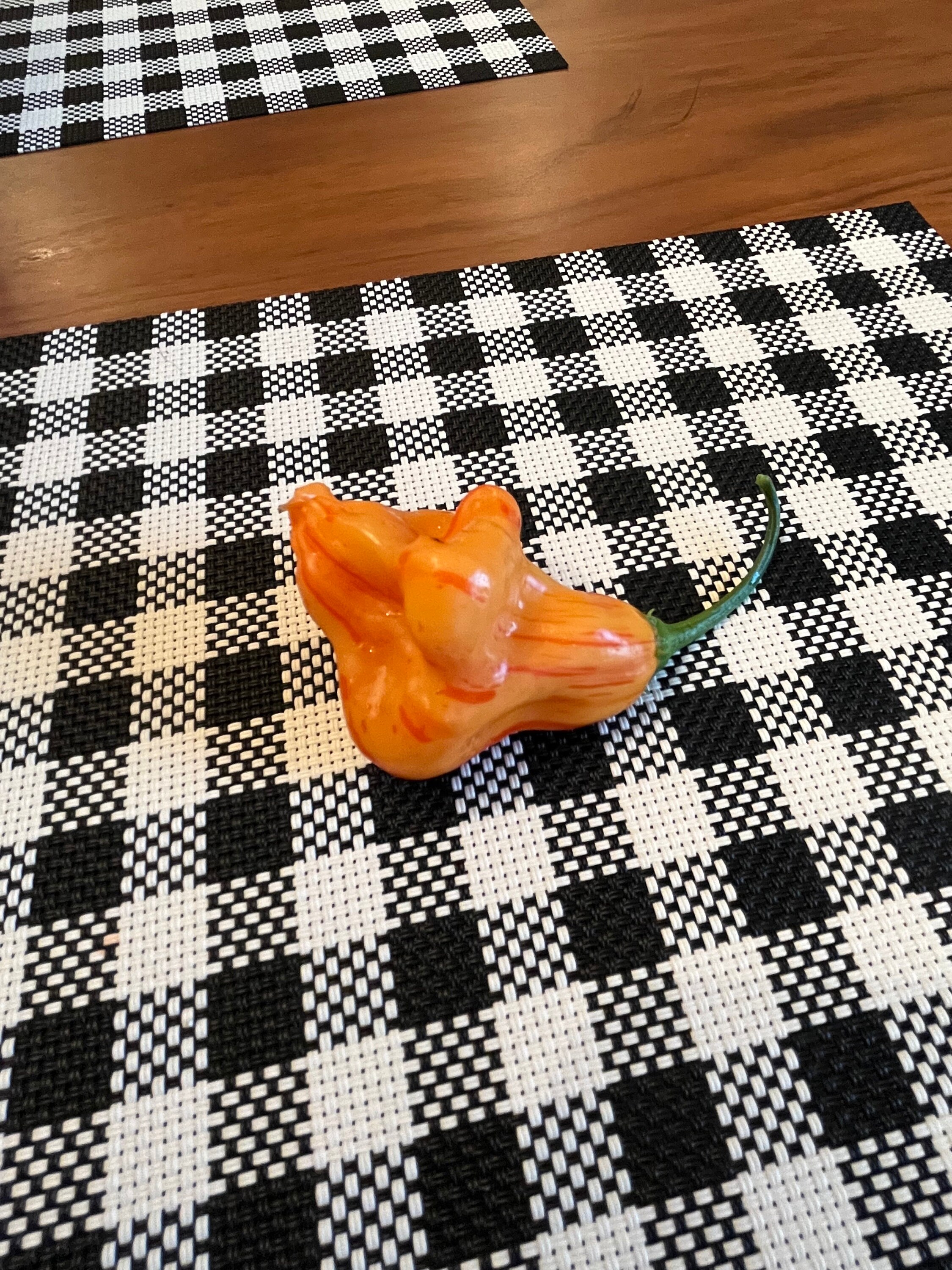 10+ Zébrange Pepper Seeds - Etsy