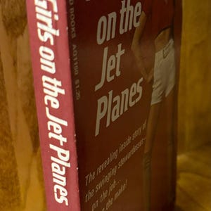 The Girls on the Jet Planes, Sheri Perrin, Vintage 1973 Rare Paperback ...
