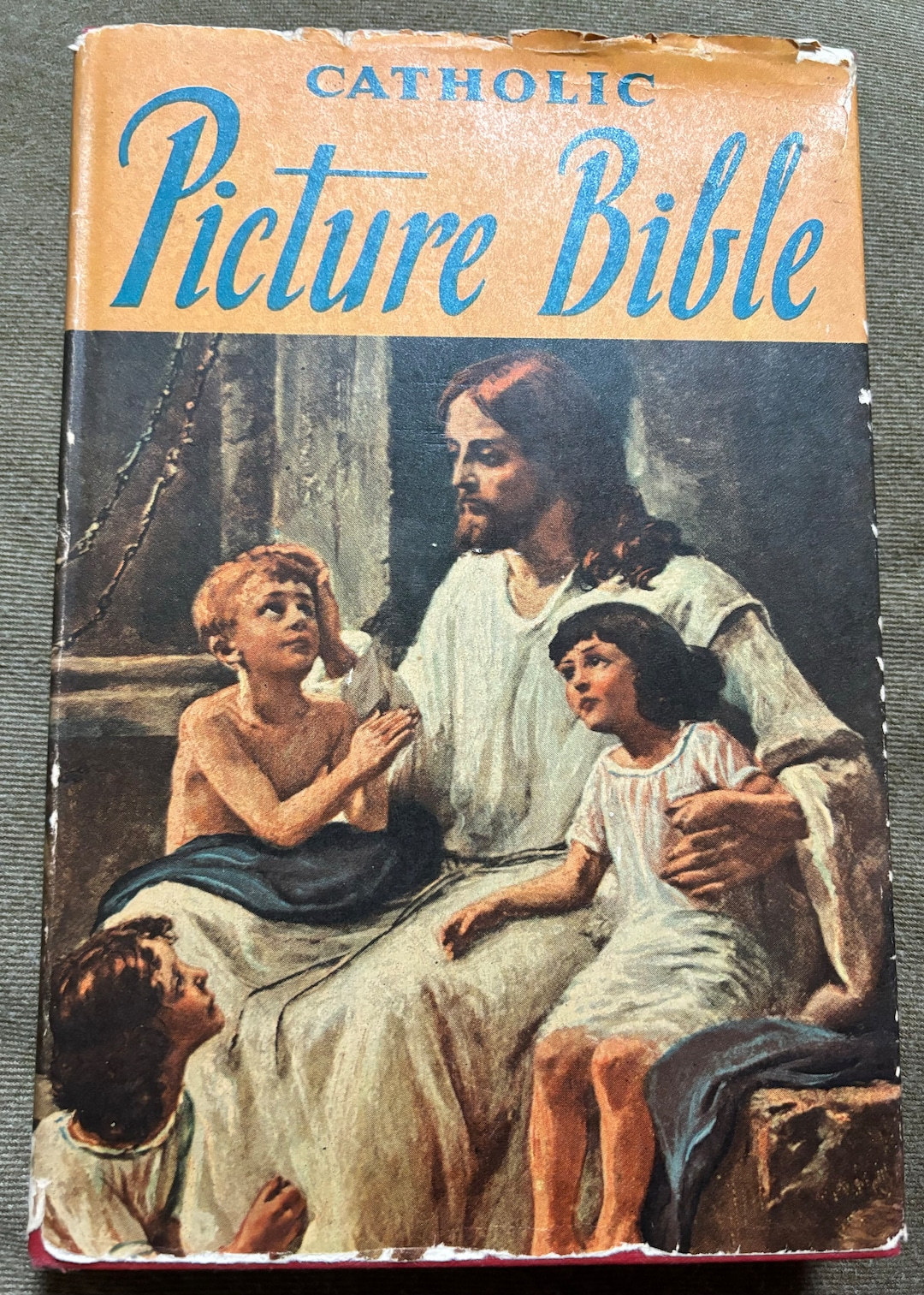 Catholic Picture Bible, Illustrated Bible Stories From the Old and New ...