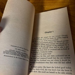 The Girls on the Jet Planes, Sheri Perrin, Vintage 1973 Rare Paperback ...