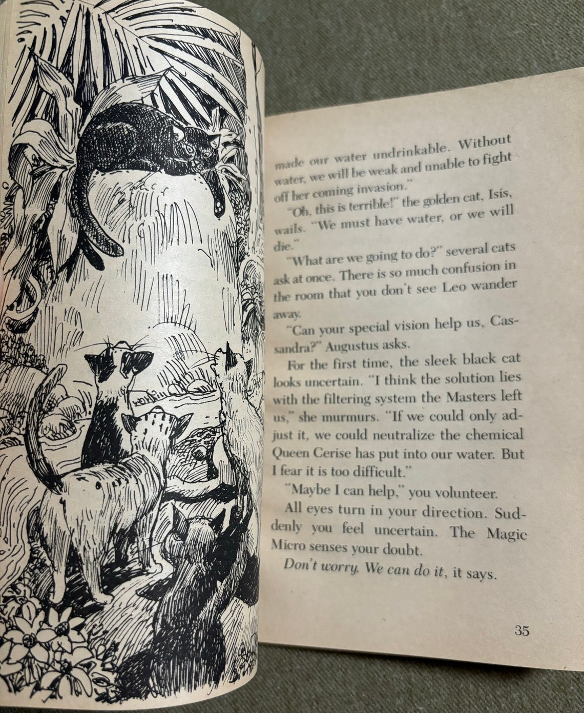 The Cats of Castle Mountain, A Magic Micro Adventure, Vintage 1985 ...