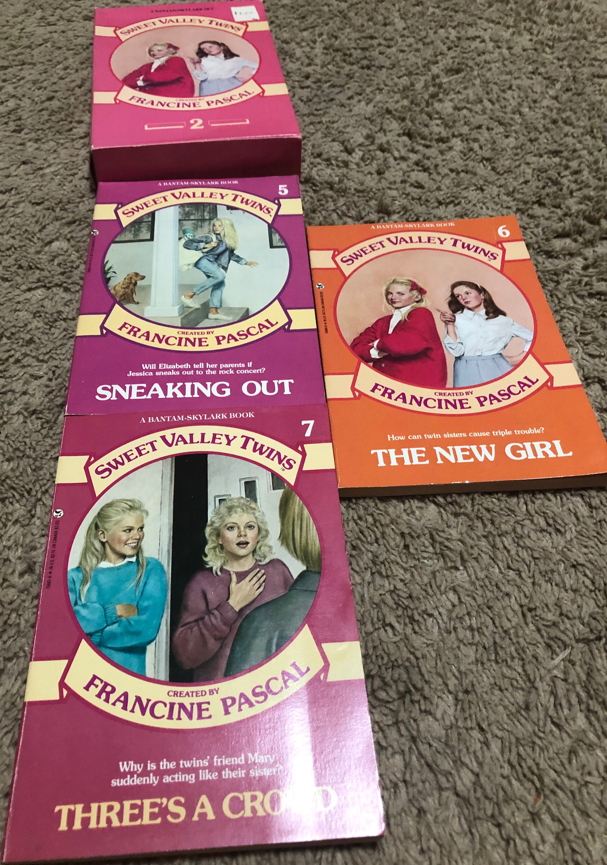 Francine Pascal Sweet Valley Twins Box Set of 3 - Etsy