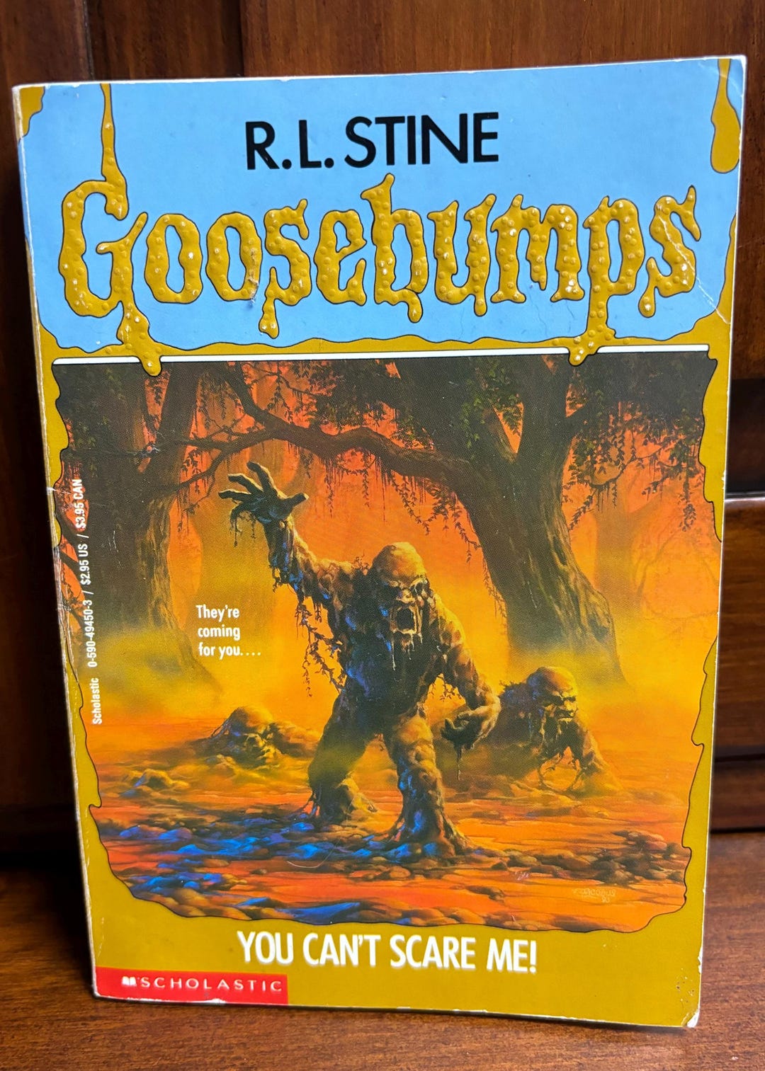 RL Stine, Goosebumps 15 You Cant Scare Me, Vintage 1994 Scholastic ...