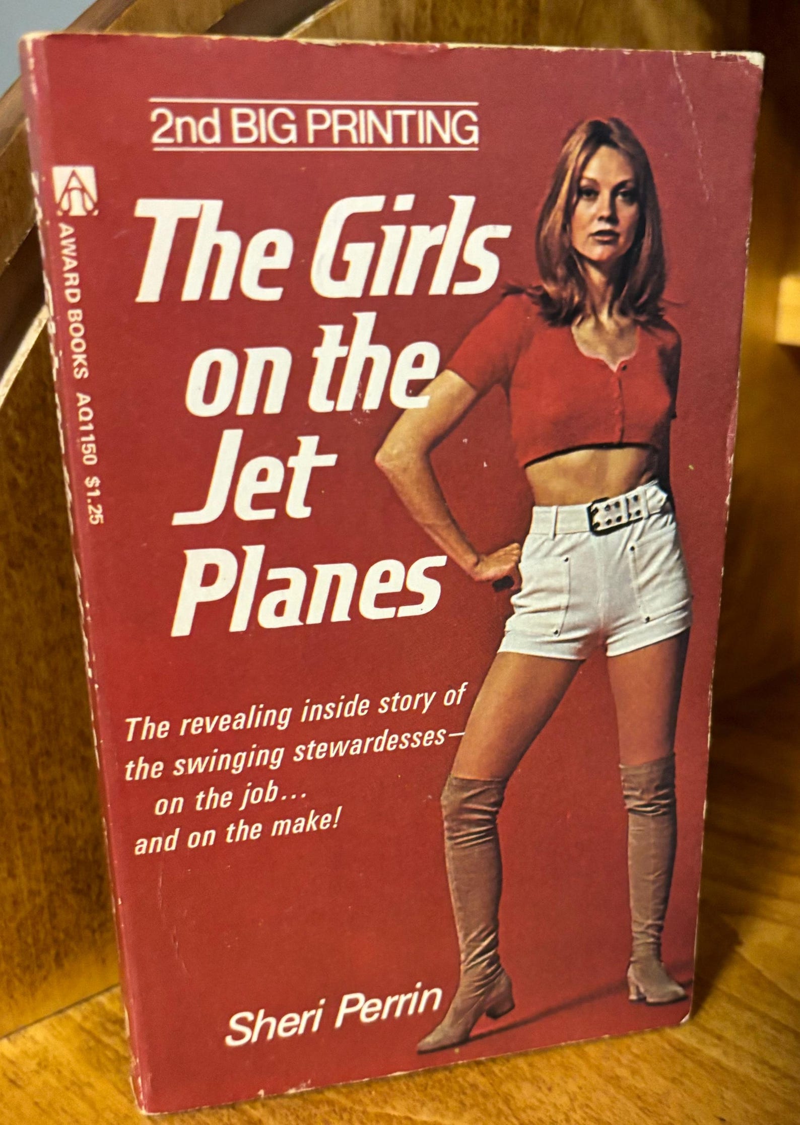 The Girls on the Jet Planes, Sheri Perrin, Vintage 1973 Rare Paperback ...