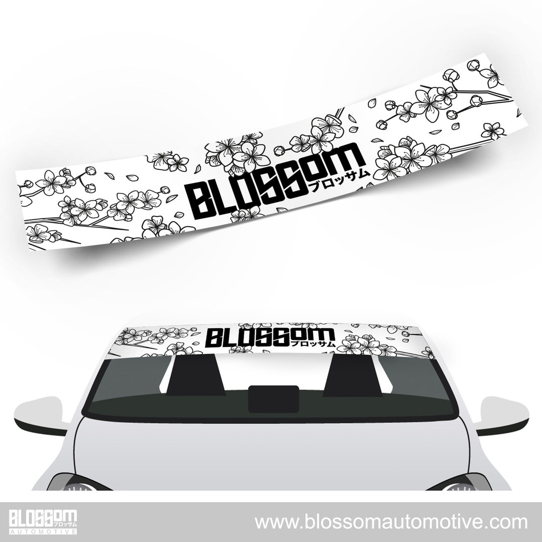 Blossom Outline Sunstrip gloss - Etsy