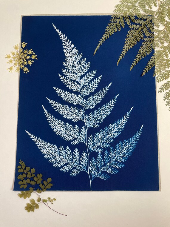 ORIGINAL Rabbit Foot Fern Cyanotype Botanical Fabric Art | Etsy