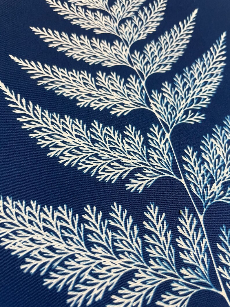 ORIGINAL Rabbit Foot Fern Cyanotype Botanical Fabric Art | Etsy