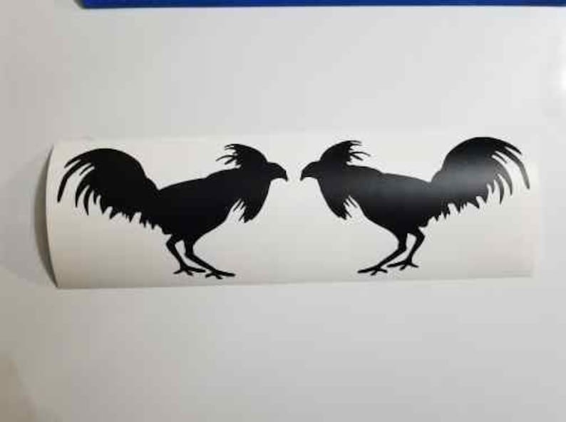Gamefowl calcomanías gallo pelea de gallos pegatina gaff - Etsy México