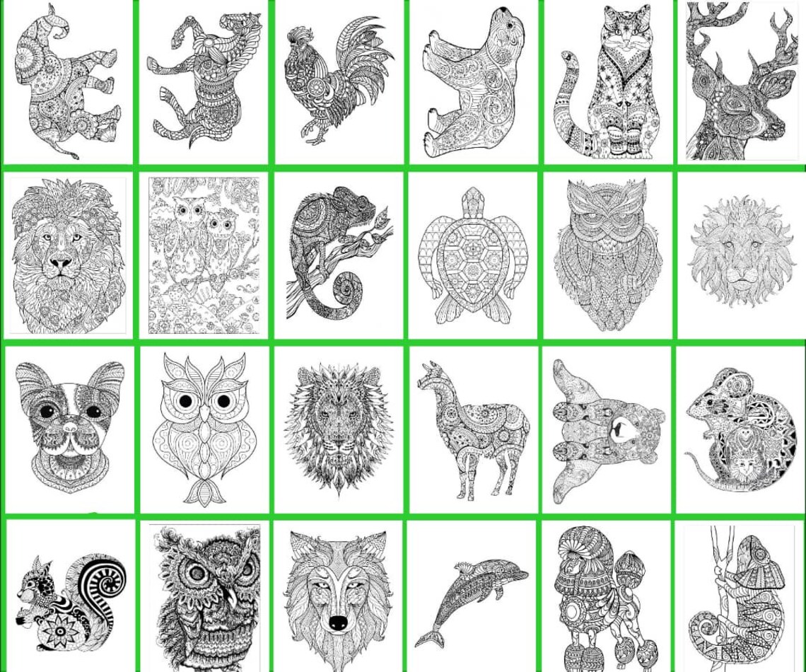 Animal Coloring Page Coloring Pages Printable Coloring - Etsy