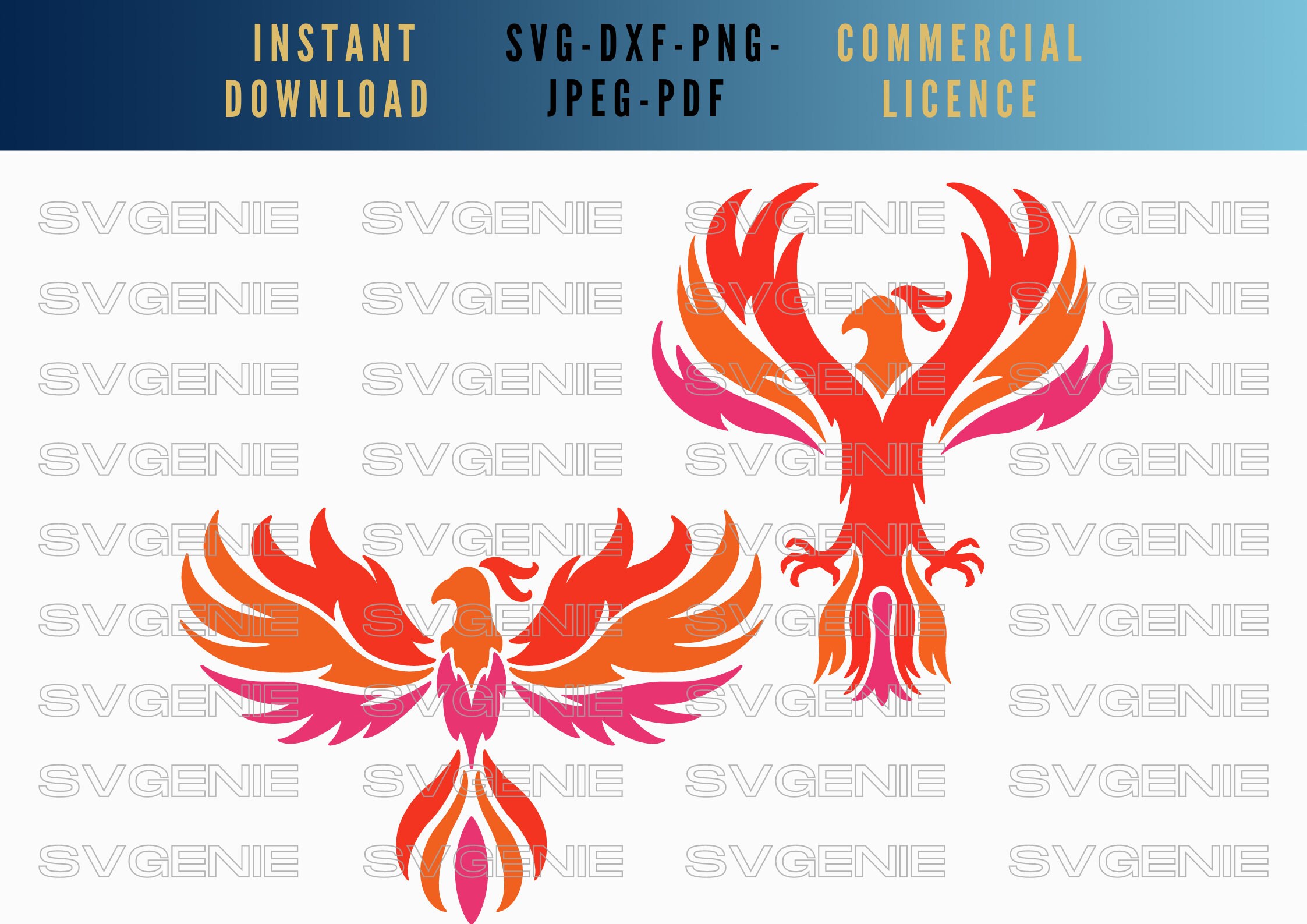 Phoenix SVG Bundle Phoenix Bird PNG Firebird SVG Mythical - Etsy