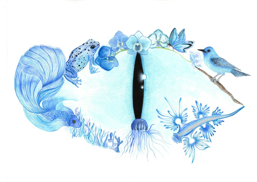 A3 PRINT "sea the Skeye", Surrealist Watercolour, Illustration of Eye ...