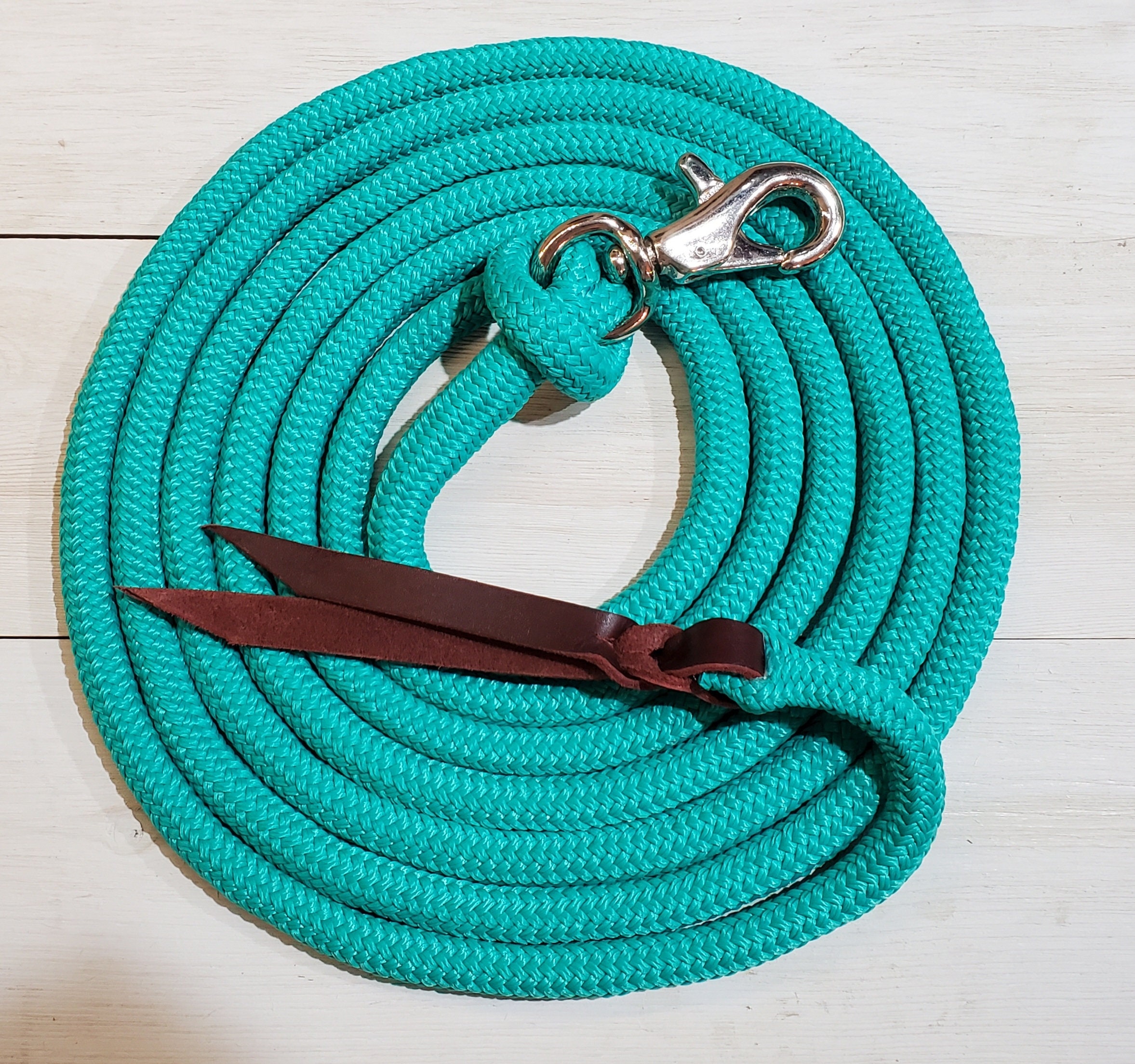 Custom Training Lead Rope - Your Choice of Swivel Clasp/bull Snap ...