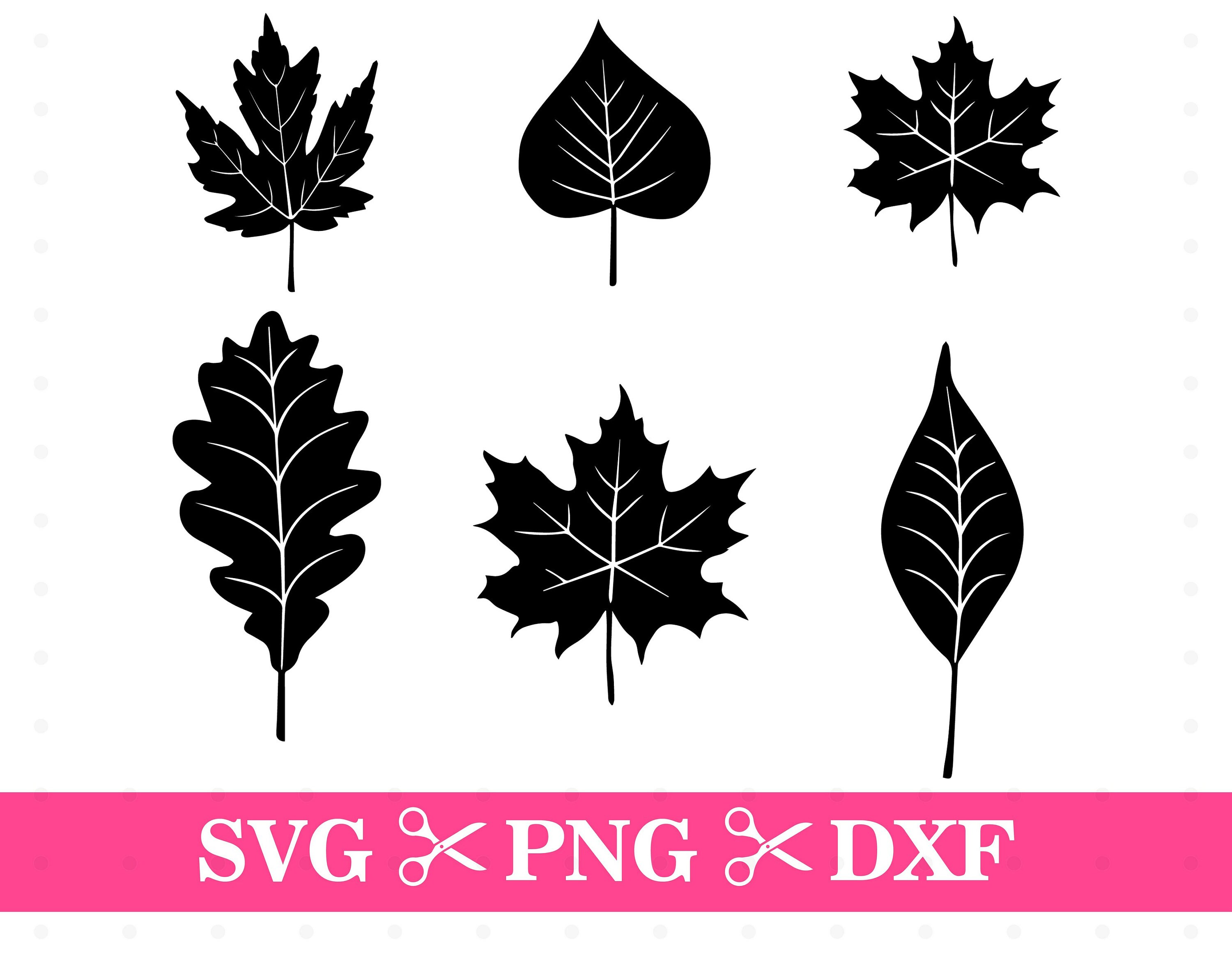 Leafs Svg Set Sheet Clipart Svg Leafs Cricut Vectors Leafs - Etsy