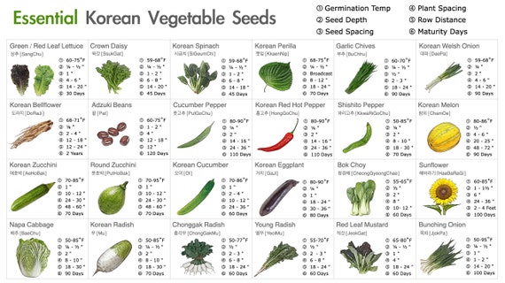 Seed Vegetables Examples