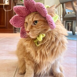 Crochet Flower Cat Hat Pattern, Cat Sunflower Hat Pattern - Etsy