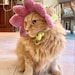 Crochet Flower Cat Hat Pattern, Cat Sunflower Hat Pattern - Etsy