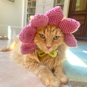 Crochet Flower Cat Hat Pattern, Cat Sunflower Hat Pattern - Etsy