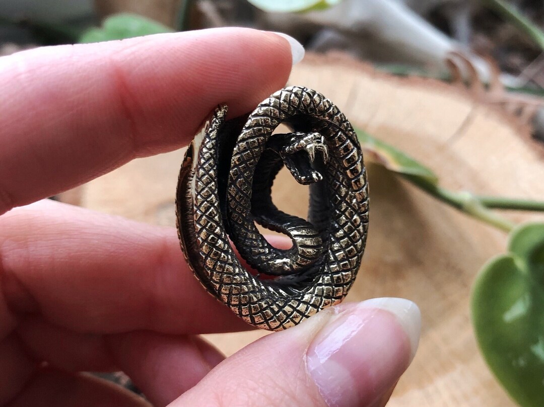 Cobra Ear Plugs Oval Tunnel Brass Silver Gold Pair - Etsy