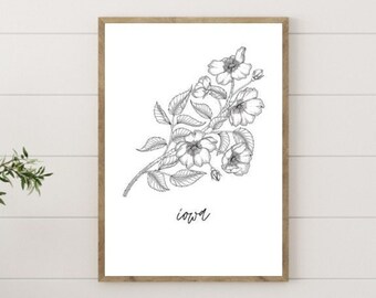 Wild Flower Drawing - Etsy