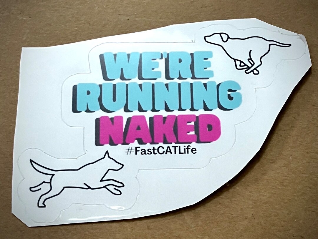 Fastcat Dog Sticker Decal, Waterproof Scratchproof, Fastcat Decal for ...