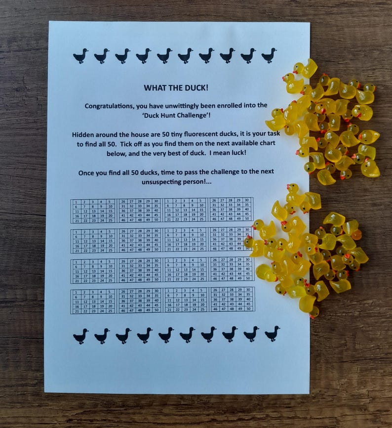 The 'what the Duck Mini Duck Hunt' Challenge - Hide 50 or 100 ...