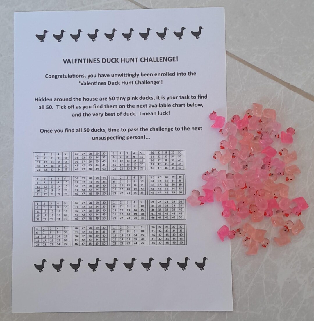The 'valentine's Mini Duck Hunt' Challenge Game - Hide 50 Pink Mini ...