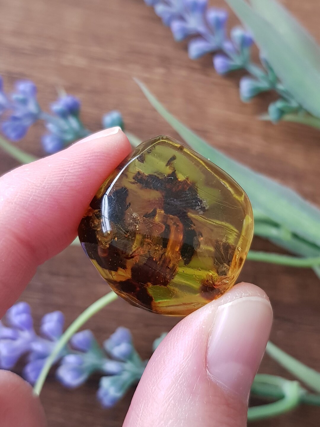 Amber With Bugs - Etsy