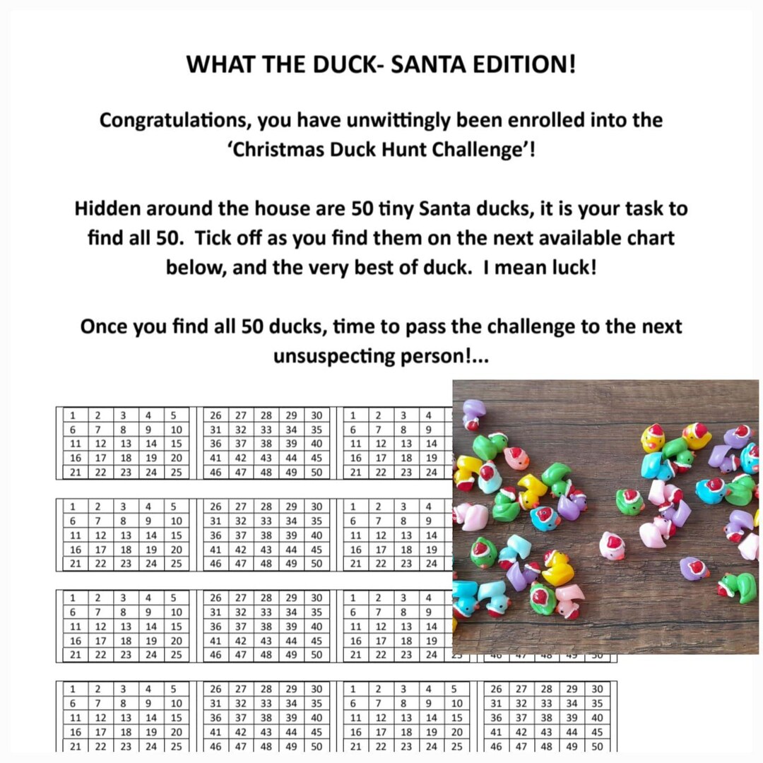The 'mini Santa Duck Hunt' Christmas Edition Challenge - Hide 50 or 100 ...