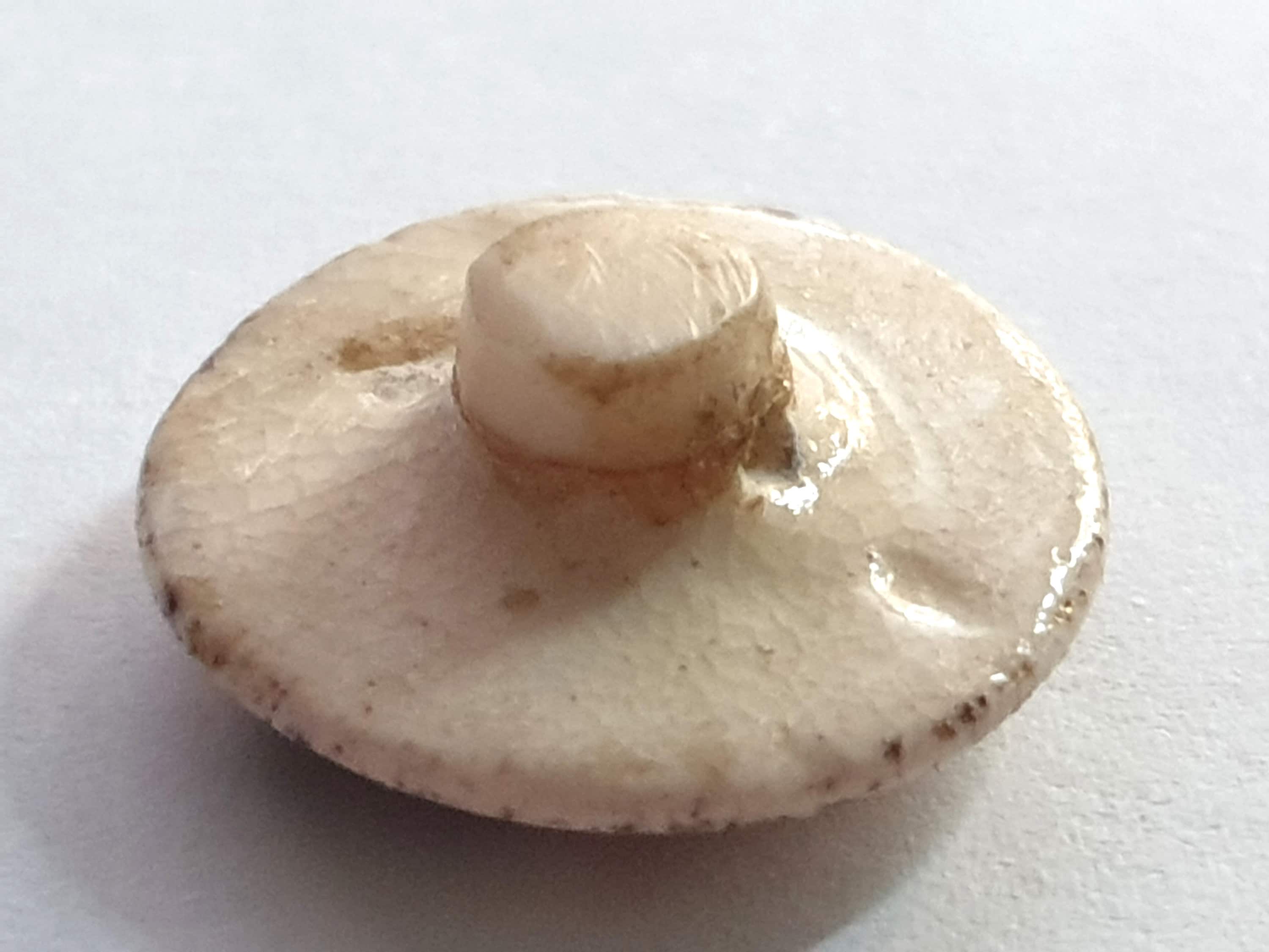 1 1880s Japanese Satsuma Ceramic Button. Japanese Lady With Musical ...