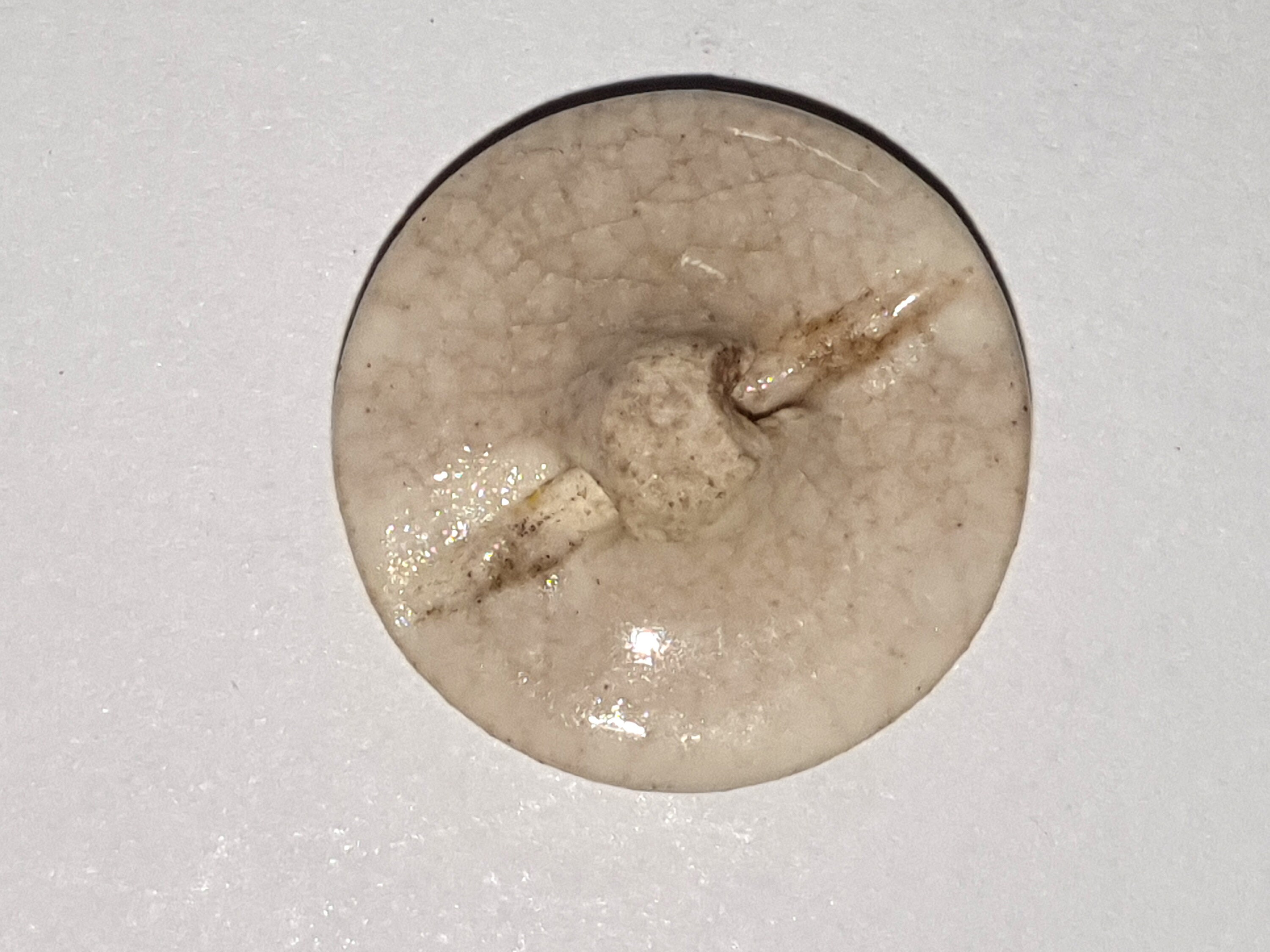 1 Small 1880s Japanese Satsuma Ceramic Button Picturing Two Butterfly's ...