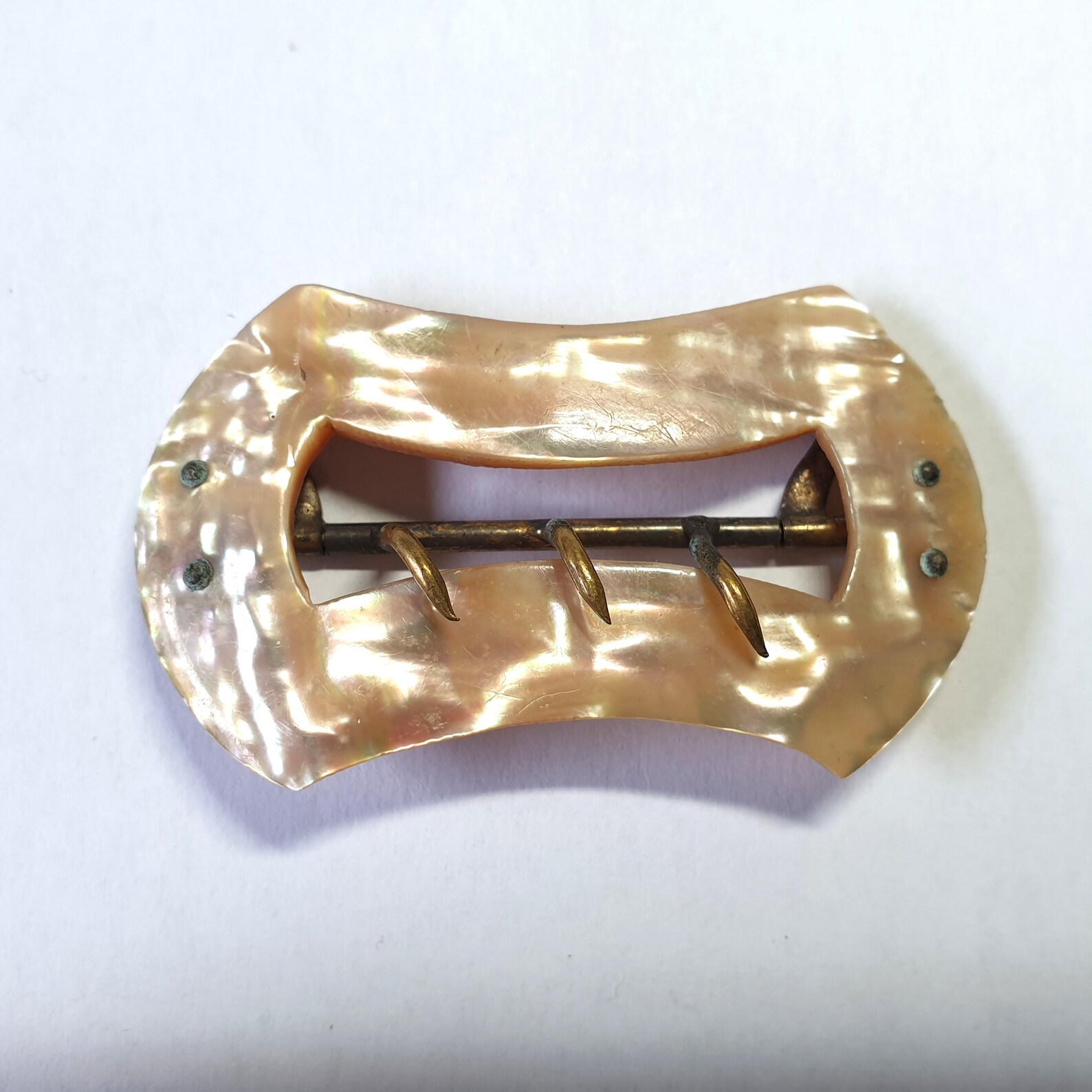 French Shell Buckle: Antique Brass Core, 1890s Fashion - Etsy