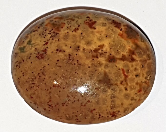 1 Freckled Brown Oval Agate Stud Button. 1800s. A Very Rare Button. 15/ ...