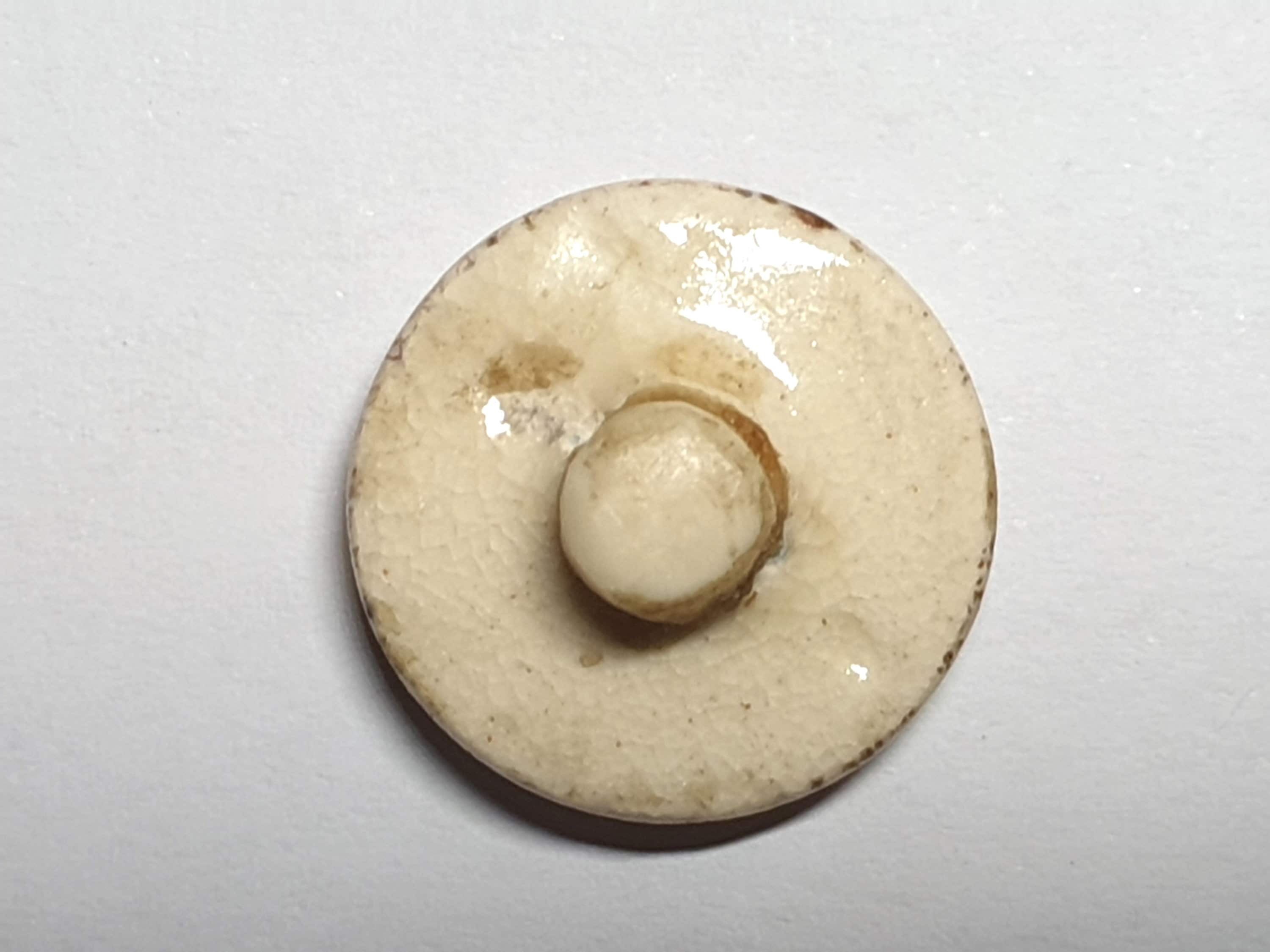 1 1880s Japanese Satsuma Ceramic Button. Japanese Lady With Musical ...