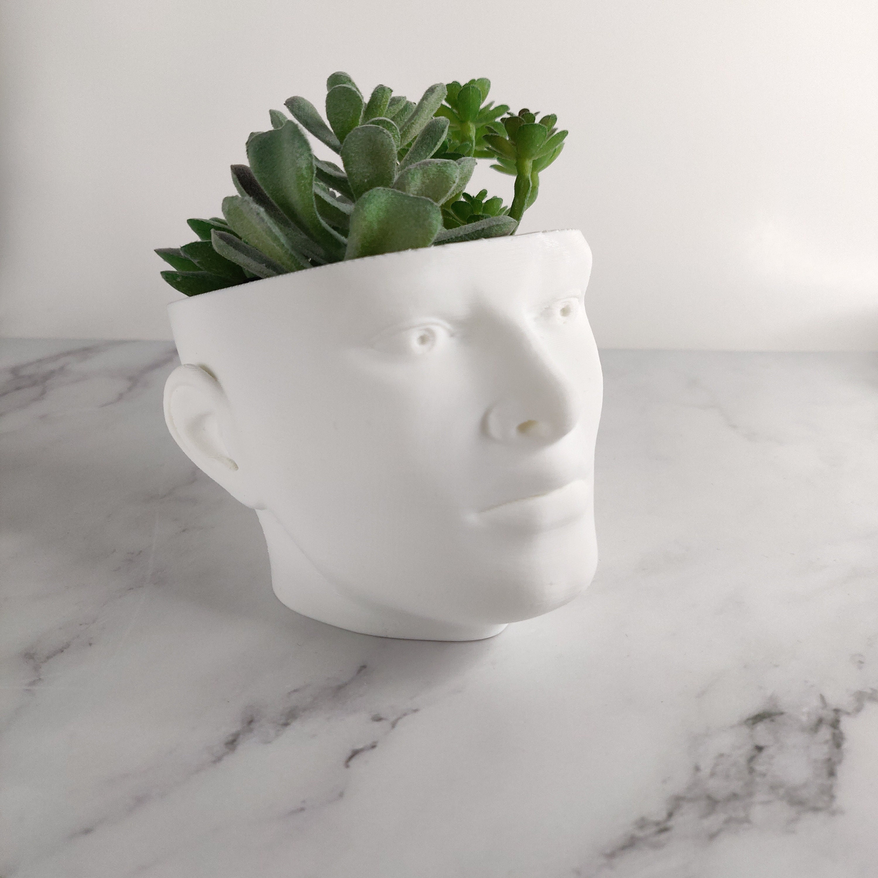 Realistic Head Planter Face Planter Indoor Planter With - Etsy