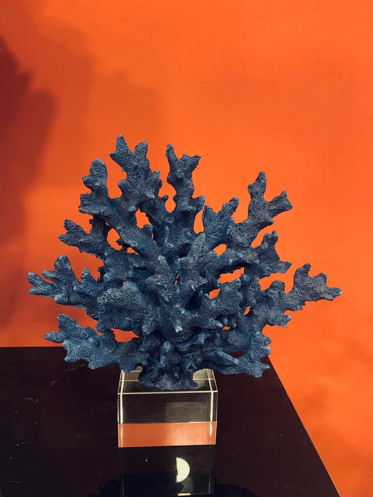 White Coral Reef Coral Objectcoral Decor Coral Stone - Etsy Canada