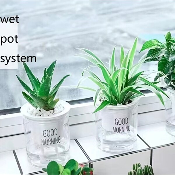 Transparent Self Watering Planter - Etsy