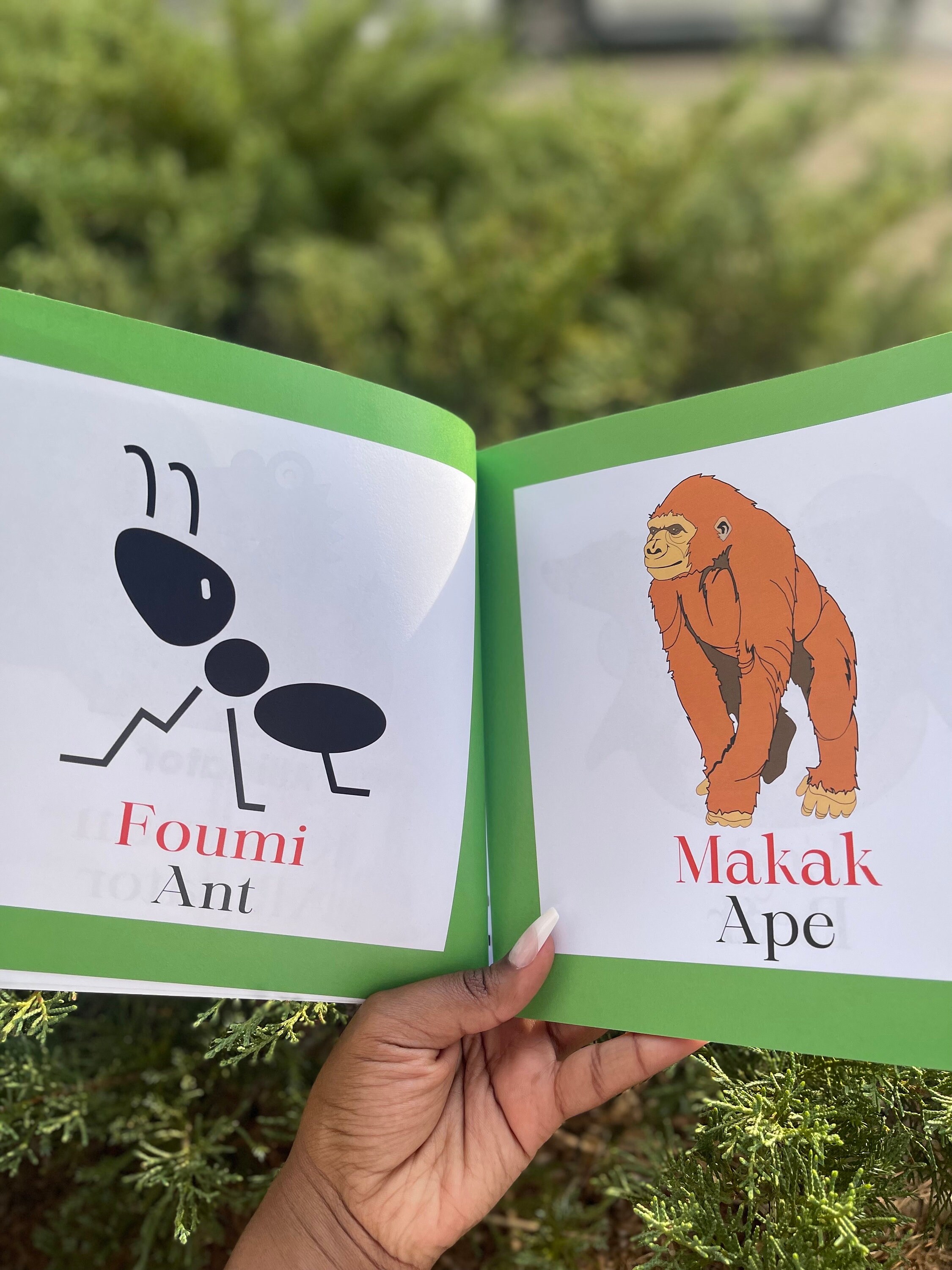 Learn Haitian Creole: Animals & Insects Pictionary English to Haitian ...