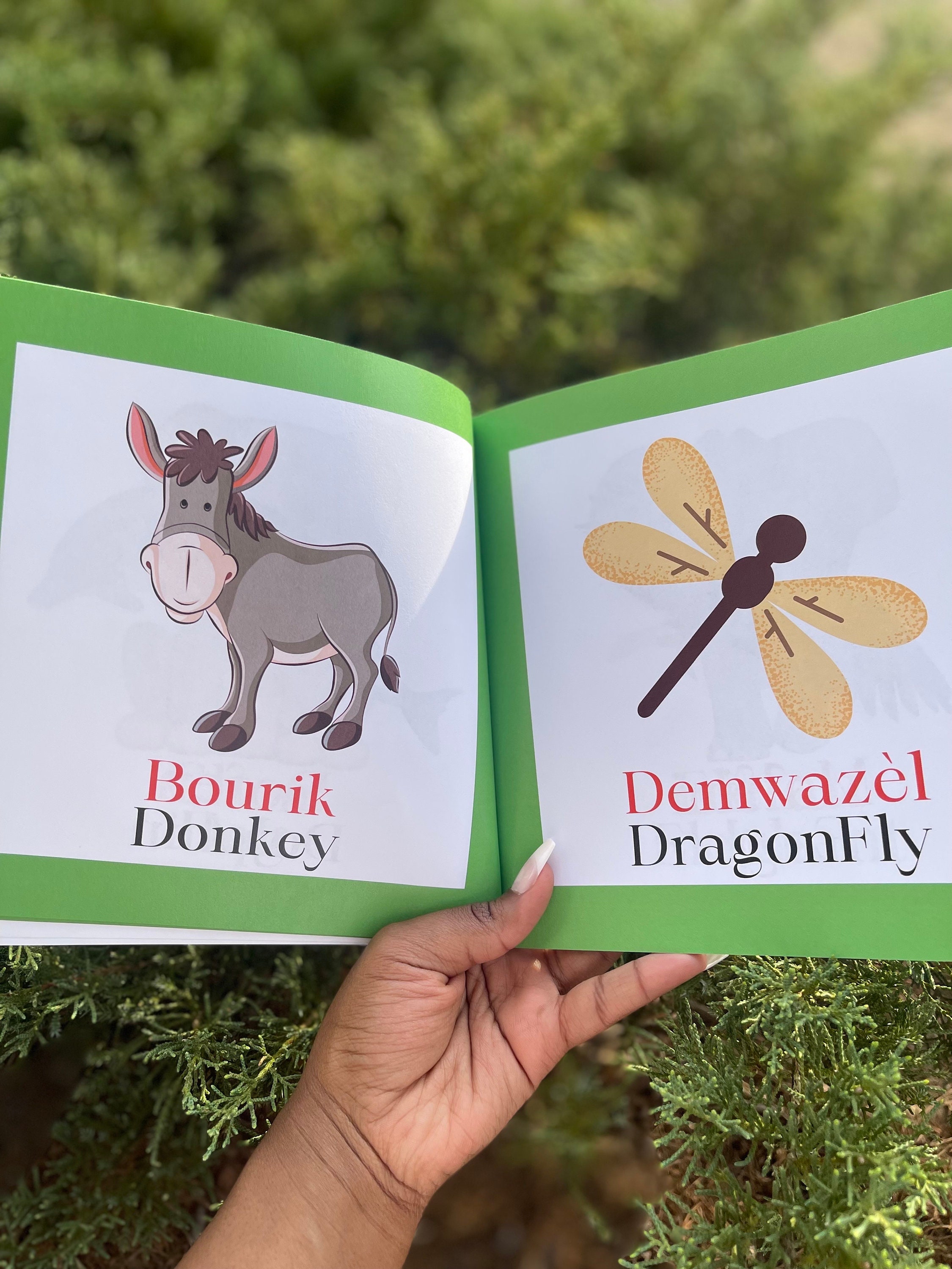 Learn Haitian Creole: Animals & Insects Pictionary English to - Etsy