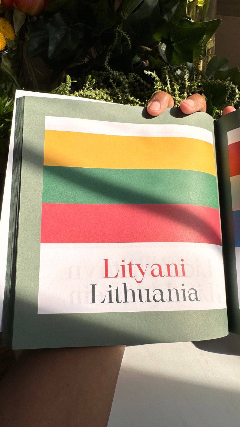 Learn Haitian Creole: Countries & Flags Pictionary - Etsy