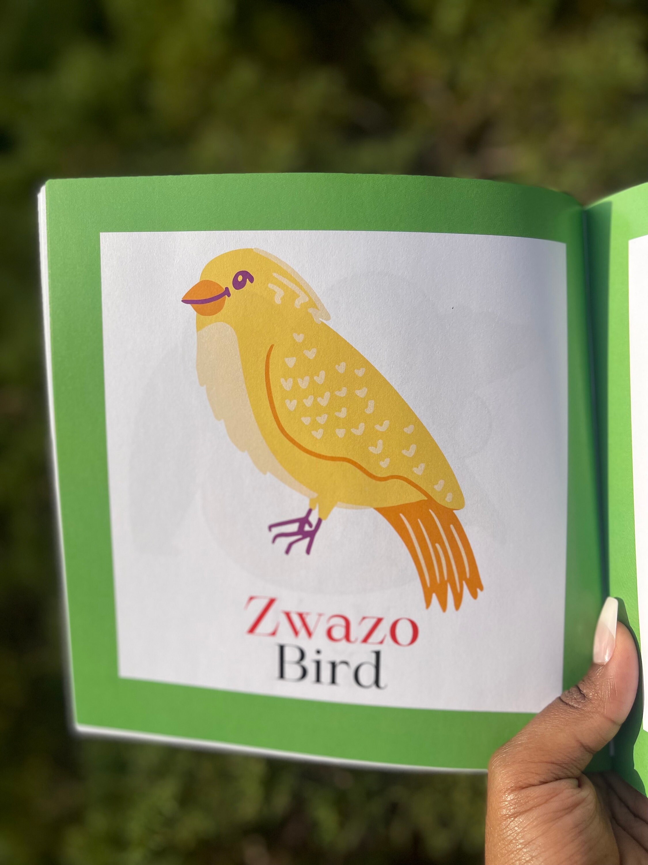 Learn Haitian Creole: Animals & Insects Pictionary English to - Etsy