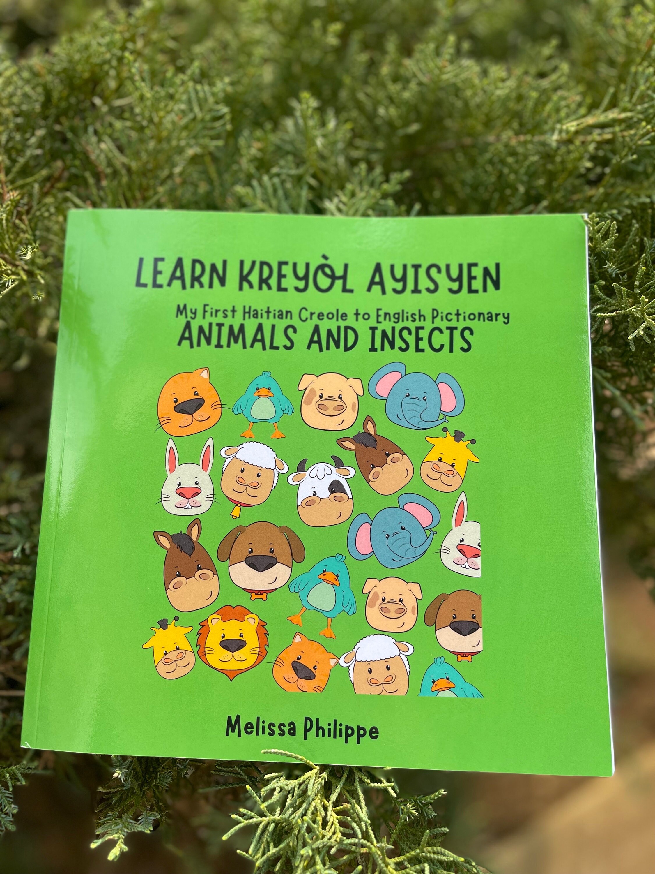 Haitians Be Like English