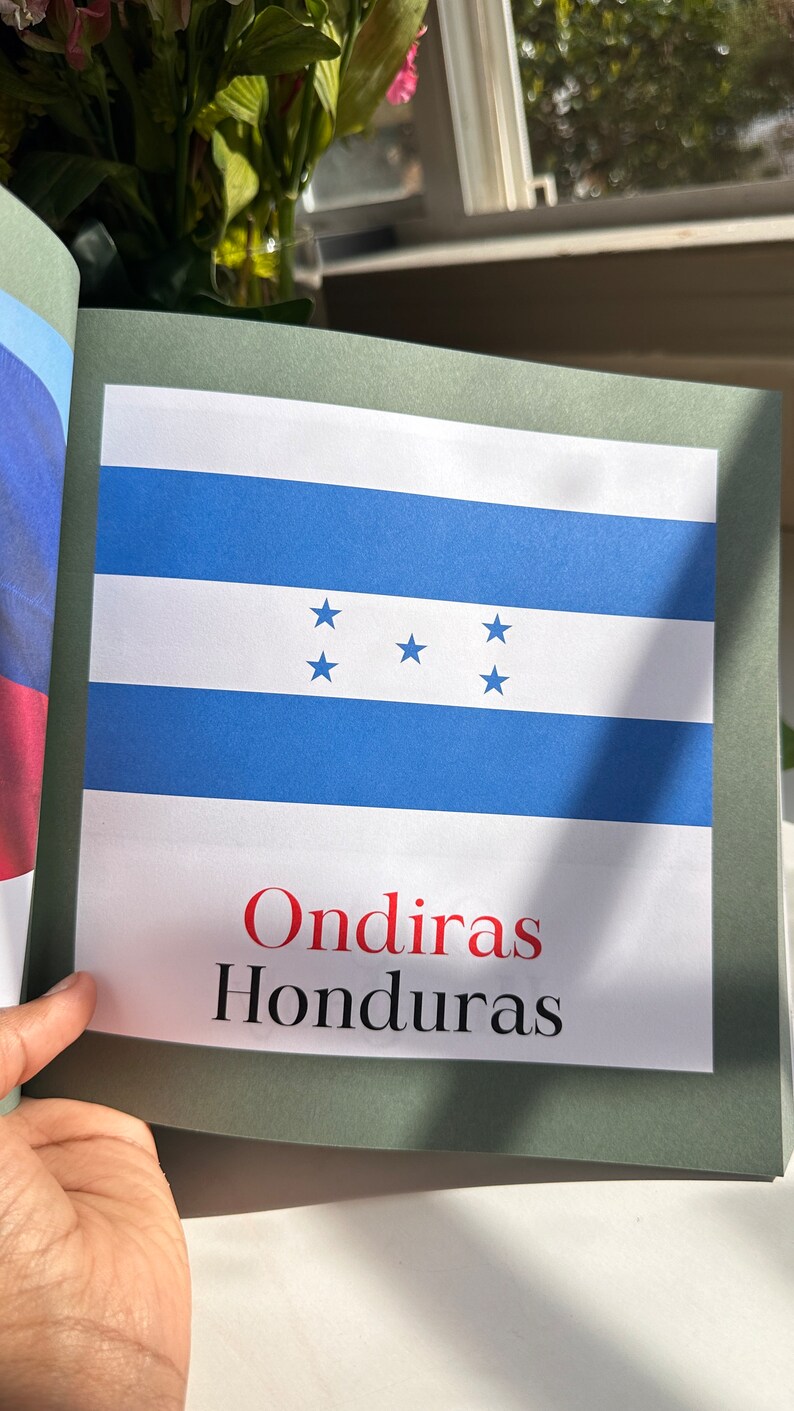 Learn Haitian Creole: Countries & Flags Pictionary - Etsy