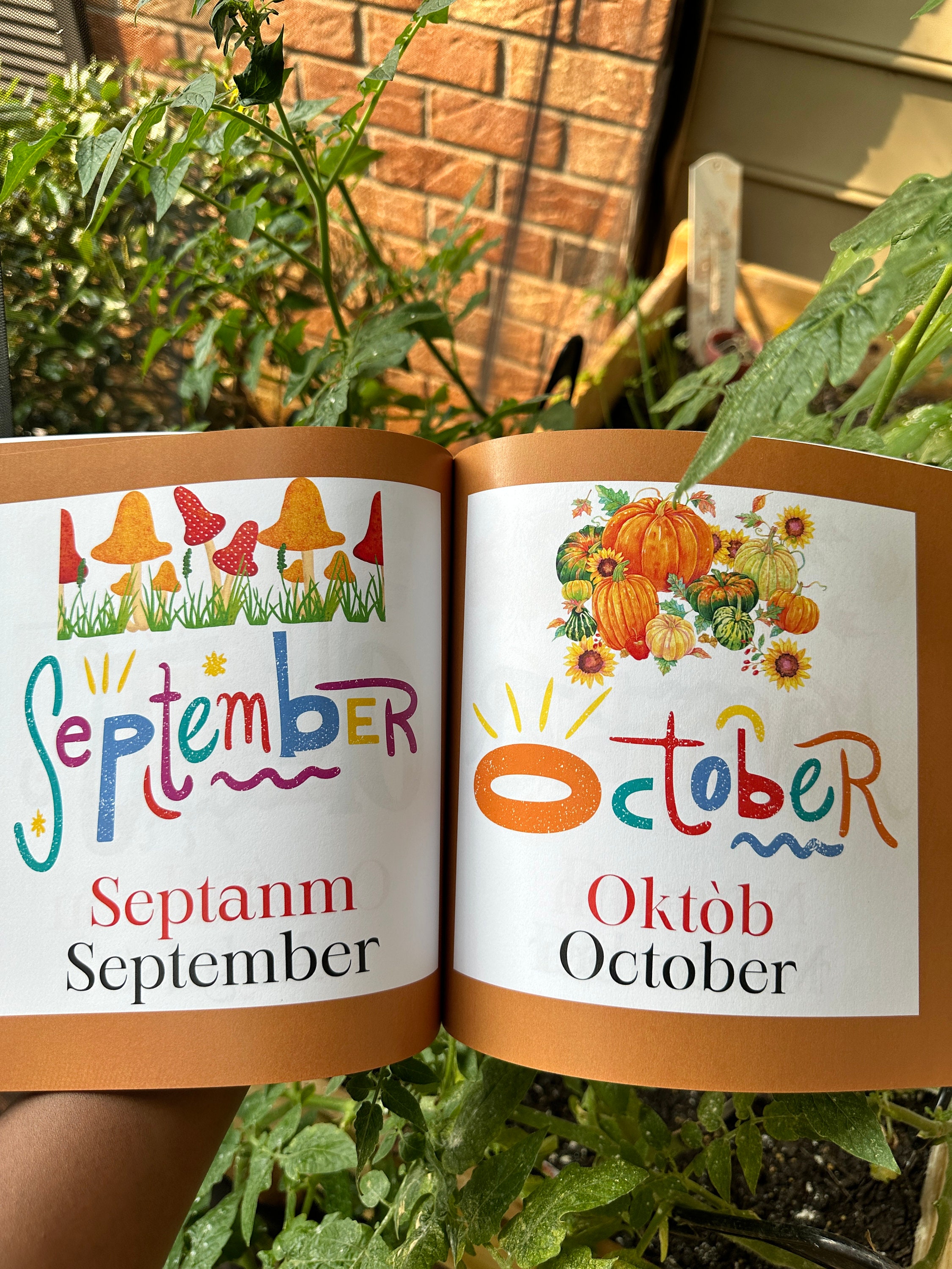 Learn Haitian Creole: Days, Months, Seasons and Weather Pictionary ...