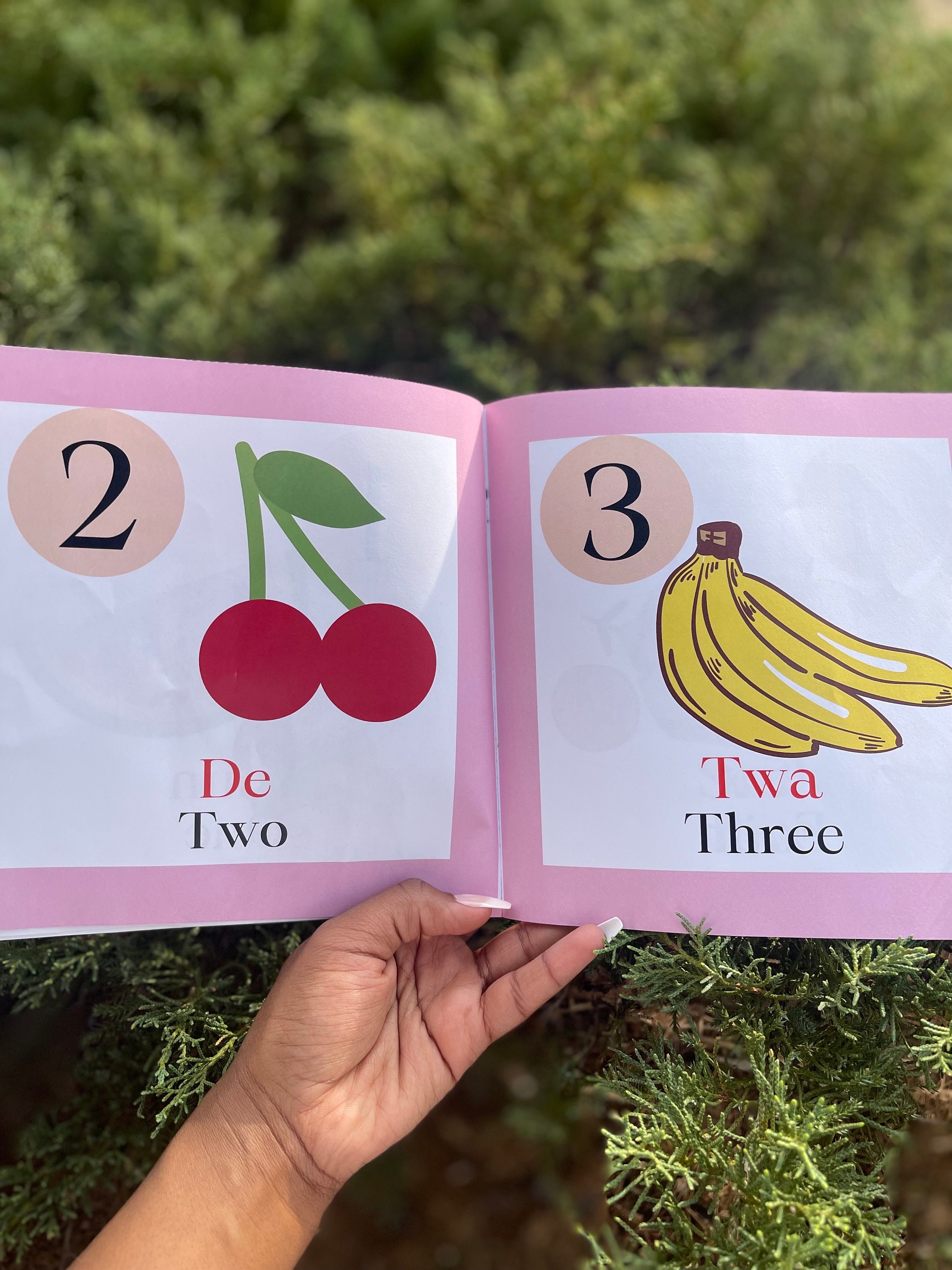 Learn Haitian Creole: Numbers Pictionary English to Haitian Creole - Etsy