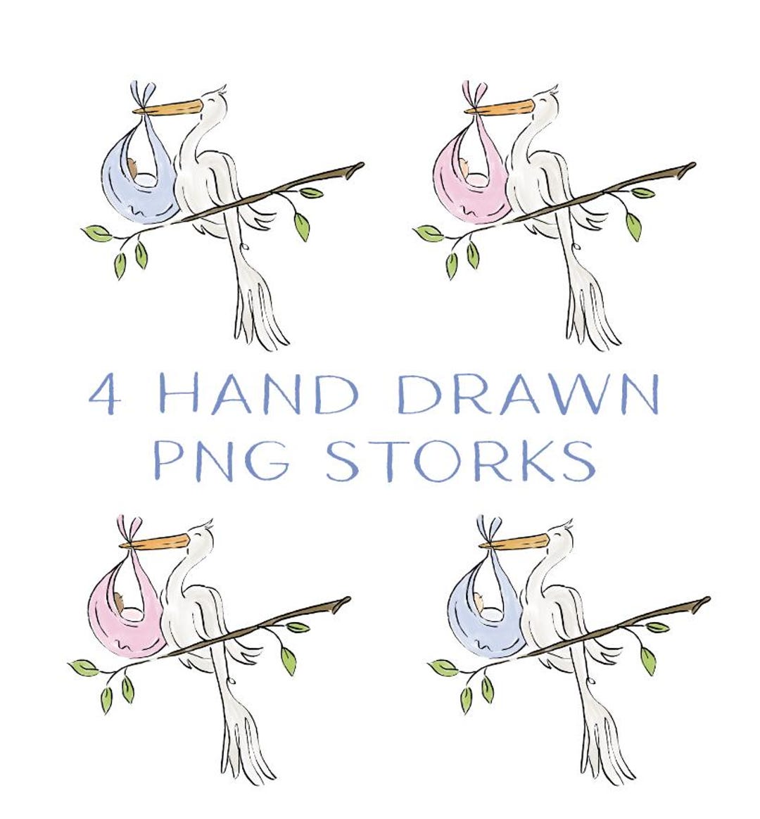 Hand Drawn Stork PNG Clip Art Set - Etsy